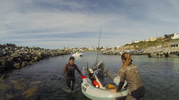 Yellowtail Spearfishing - Spierre